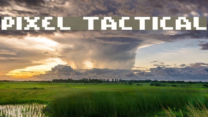 Pixel Tactical Font - FFonts.net