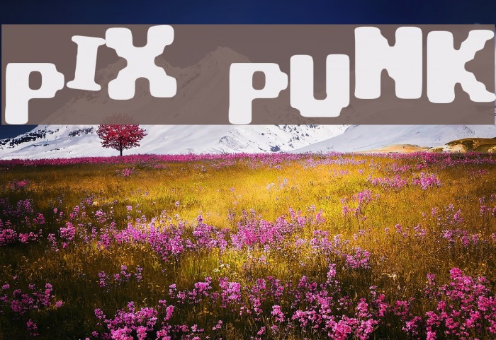 pix punk Font - FFonts.net