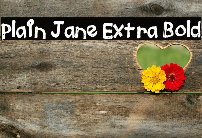 Plain Jane Extra Bold Font - FFonts.net
