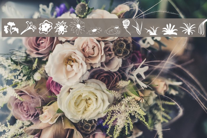 Plants Font - FFonts.net