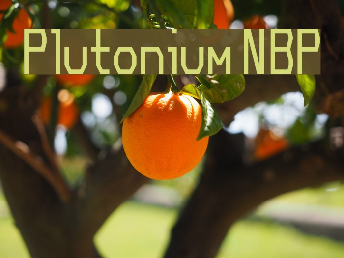 Plutonium NBP Font - FFonts.net