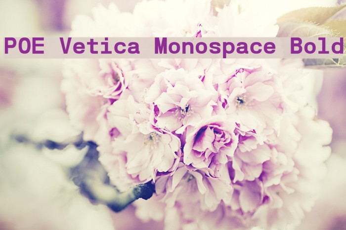 POE Vetica Monospace Bold Font - FFonts.net