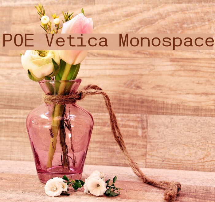 POE Vetica Monospace Font - FFonts.net