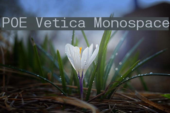 POE Vetica Monospace Font - FFonts.net