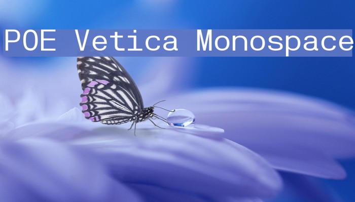 POE Vetica Monospace Font - FFonts.net