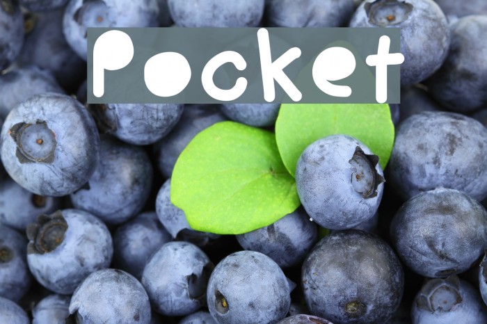 Pocket Font - FFonts.net