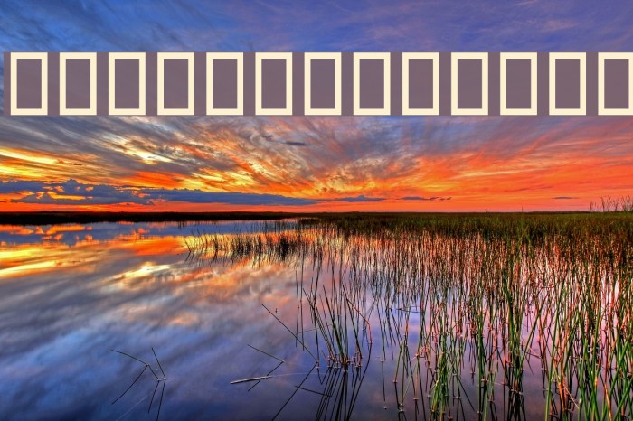 Pol Font - FFonts.net