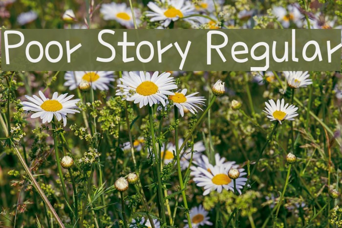Poor Story Regular Font - FFonts.net