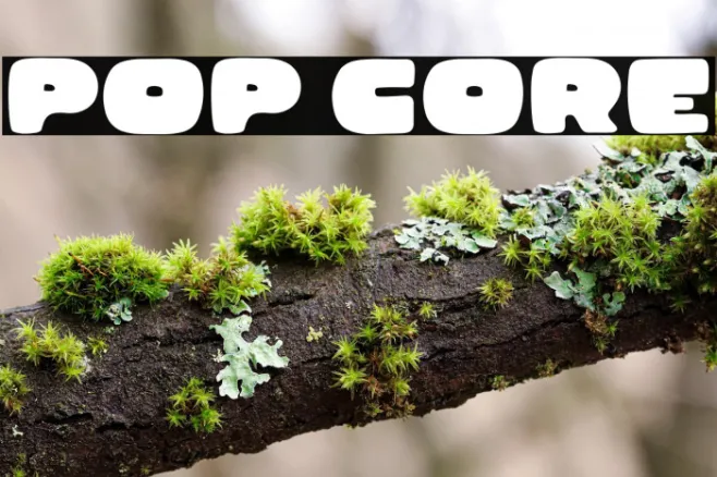 Pop Core Font | Free Download (TTF/OTF) | FFonts.net