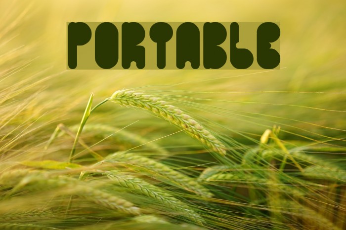 portable Font - FFonts.net