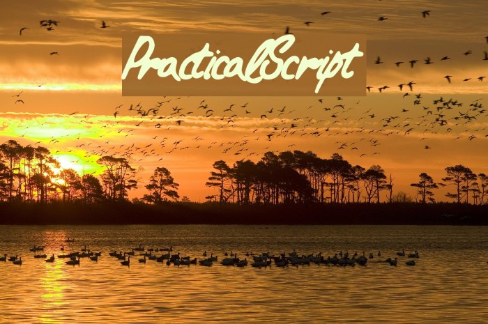 PracticalScript Font - FFonts.net