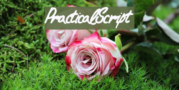 PracticalScript Font - FFonts.net