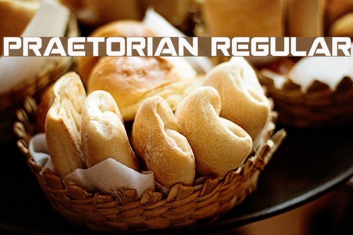Praetorian Regular Font - FFonts.net