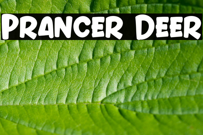 Prancer Deer Font - FFonts.net