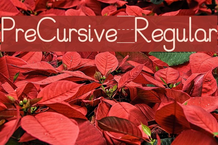 PreCursive_Regular Font - FFonts.net