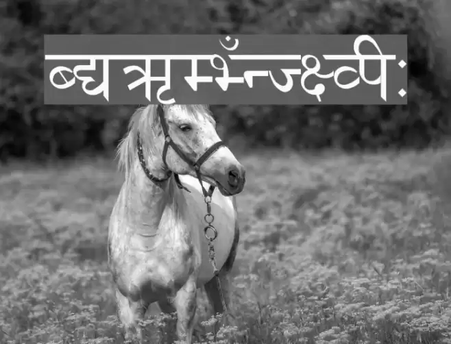 Preeti Font | Free Download (TTF/OTF) | FFonts.net