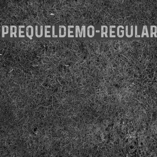 PrequelDemo-Regular Font | Free Download (TTF/OTF) | FFonts.