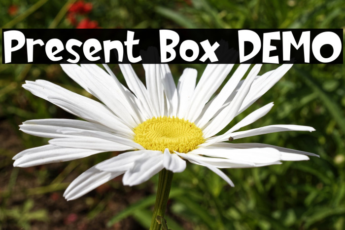 Present Box DEMO Font - FFonts.net