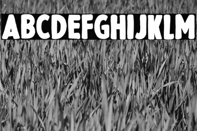 Presque Normal Font - Free Download (TTF/OTF) | FFonts.net