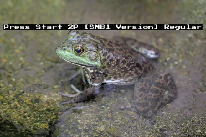 Press Start 2P [SMB1 Version] Regular Font | Free Download (TTF/OTF)