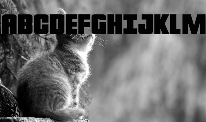 Pricedown Black Font - FFonts.net