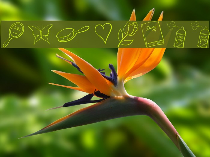 Princess Font - FFonts.net