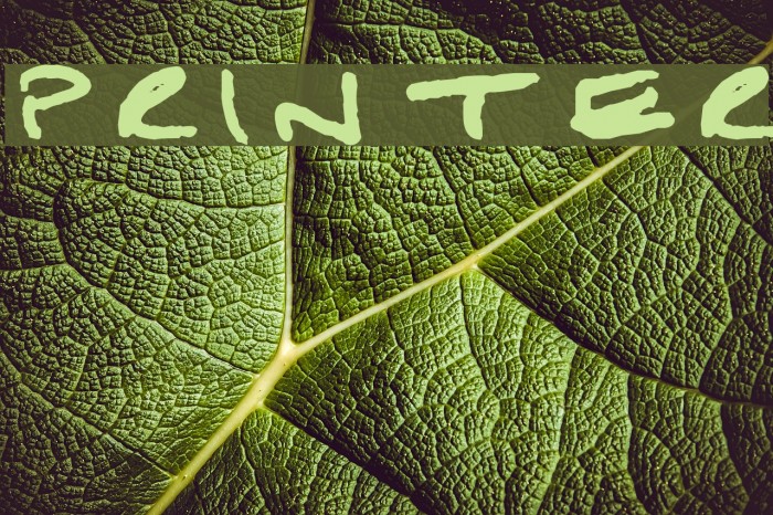 Printer Font - FFonts.net