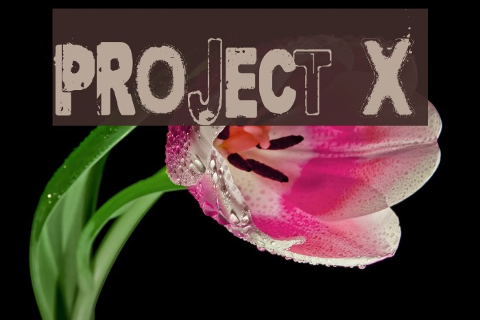 Project X Font - FFonts.net