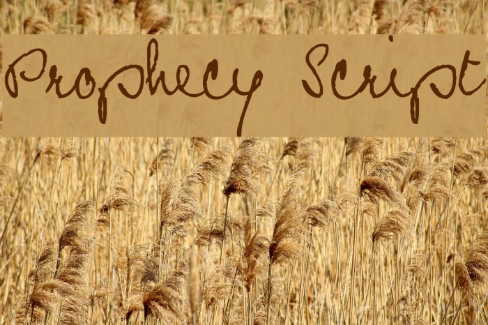 Prophecy Script Font - FFonts.net