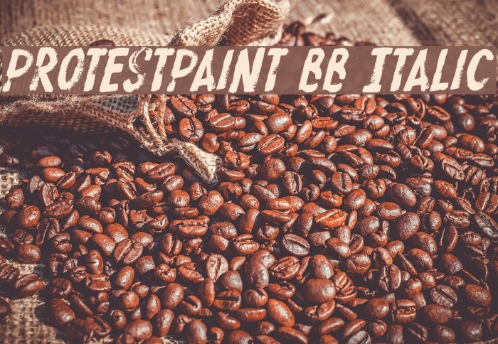 ProtestPaint BB Italic Font - FFonts.net