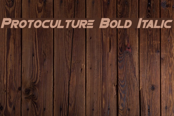 Protoculture Bold Italic Font - FFonts.net