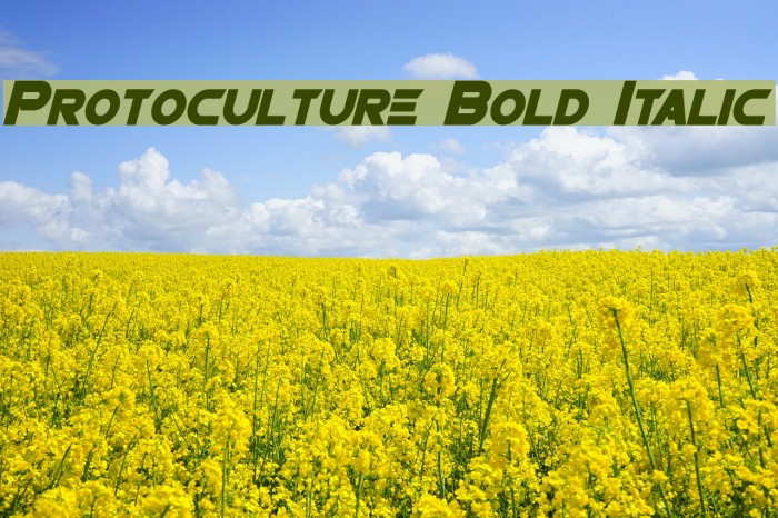 Protoculture Bold Italic Font - FFonts.net
