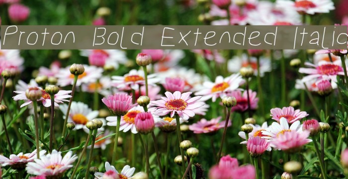 Proton Bold Extended Italic Font - FFonts.net