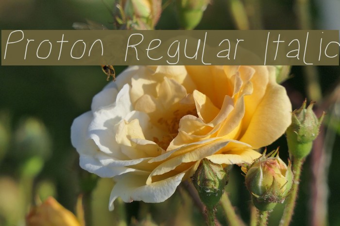 Proton Regular Italic Font - FFonts.net