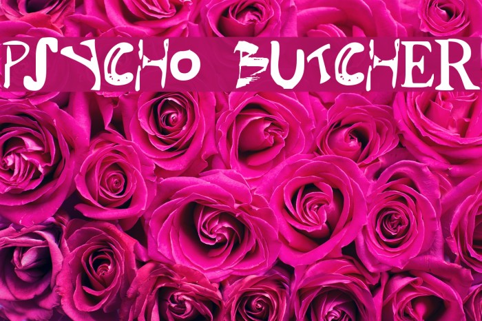 Psycho Butcher Font - FFonts.net