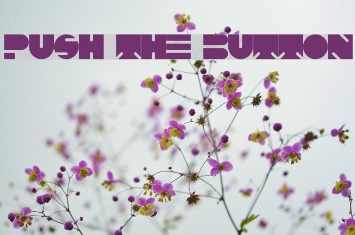 PUSH THE BUTTON Font - FFonts.net
