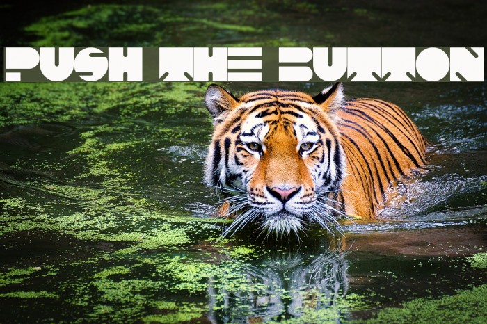 PUSH THE BUTTON Font - FFonts.net