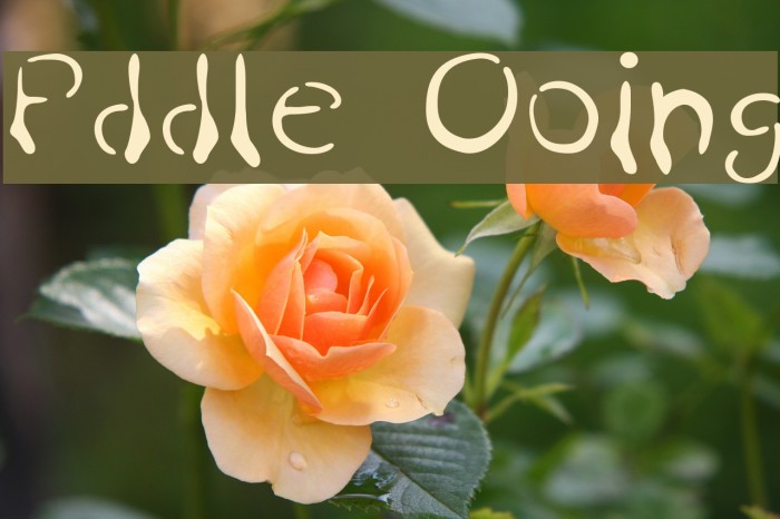 Puddle Oozing Font - FFonts.net