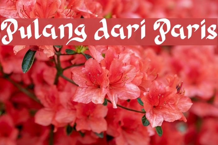 Pulang dari Paris Font - FFonts.net