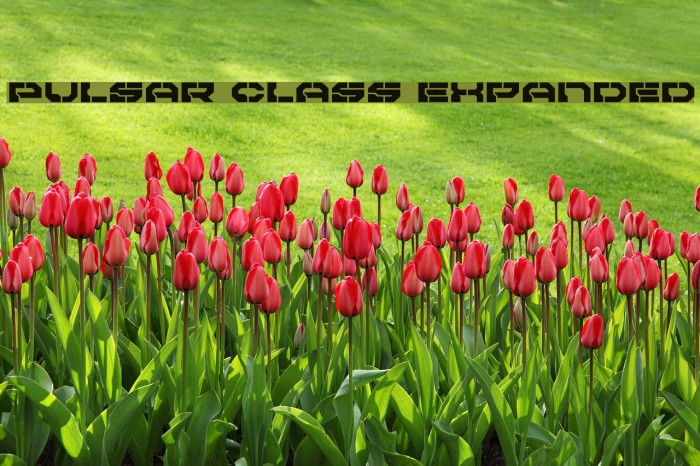 Pulsar Class Expanded Font - FFonts.net