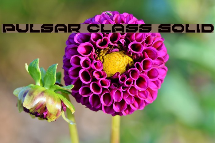 Pulsar Class Solid Font - FFonts.net
