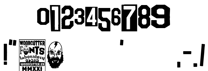 Punk University Font - FFonts.net