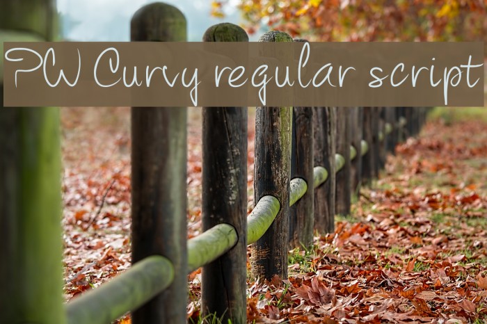 PW Curvy regular script Font - FFonts.net