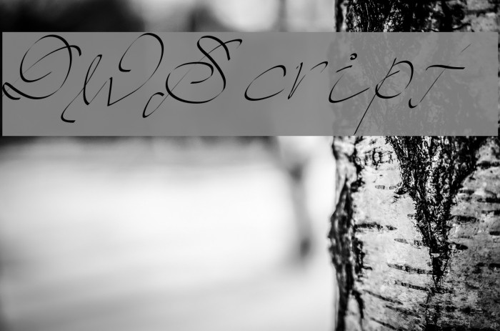 PWScript Font - FFonts.net