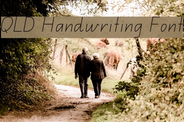 QLD Handwriting Font Font - FFonts.net