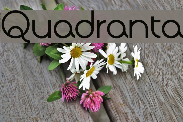 Quadranta Font - FFonts.net