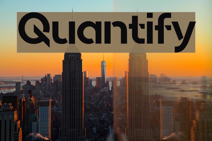 Quantify Font - FFonts.net