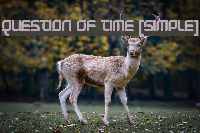 Question of time [simple] Font - FFonts.net