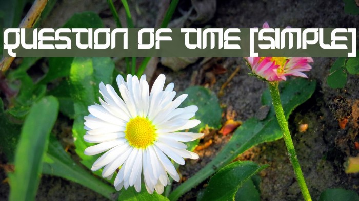Question of time [simple] Font - FFonts.net