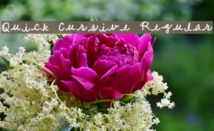 Quick Cursive Regular Font - FFonts.net